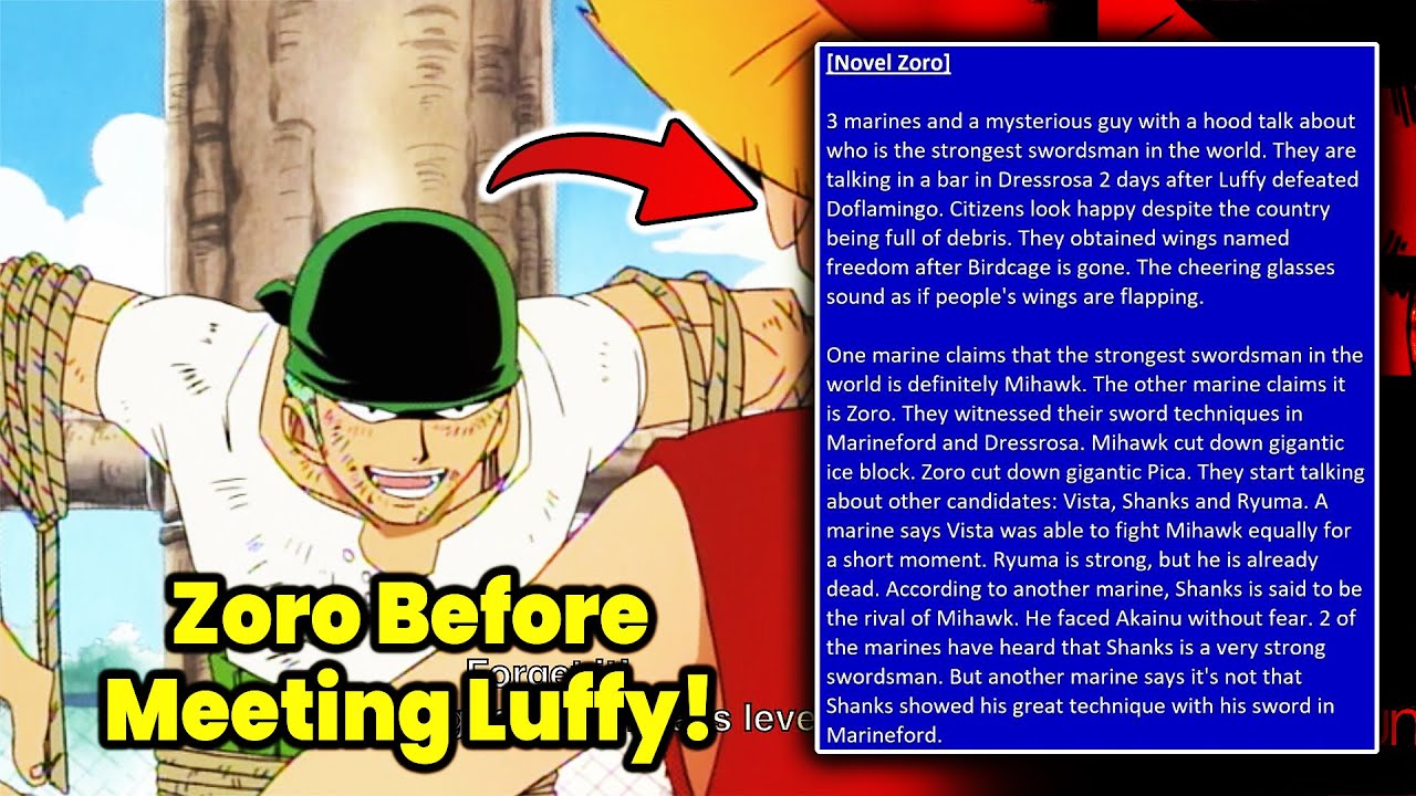 New One Piece Novel About Zoro's Past - Plot, Release Date Explained ...