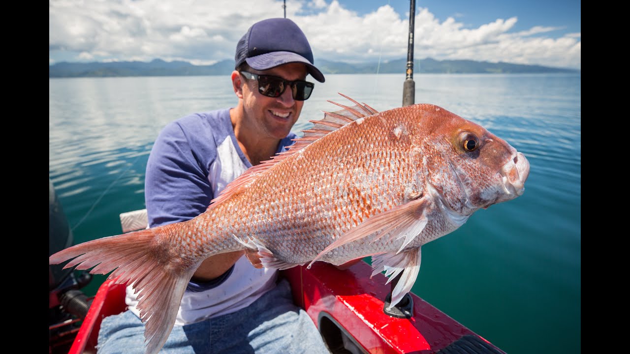 Old-school fishing sessions with Murray Conder in the Coromandel ...