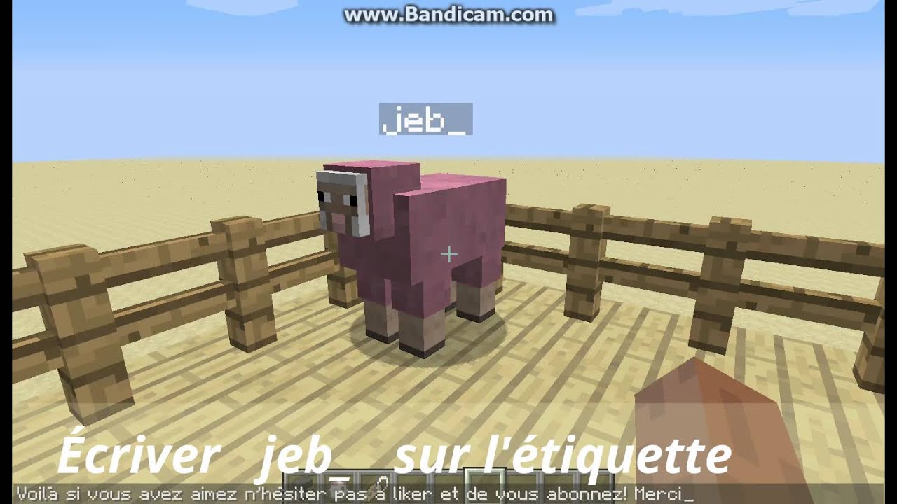 Comment faire un mouton multicolore [Minecraft] - ADDYLOX - YouTube