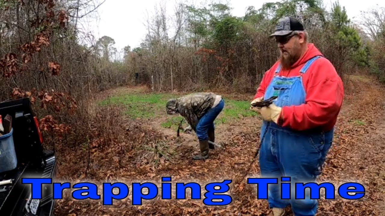 Trapping Raccoon Fast and Easy - YouTube