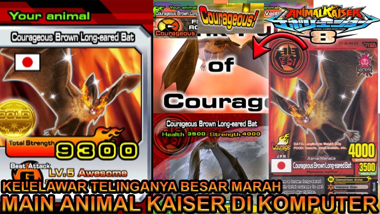 NYOBAIN COURAGEOUS JAPANESE LONG-EARED BAT DI KOMPUTER !!! - ANIMAL KAISER EVOLUTION PC - YouTube