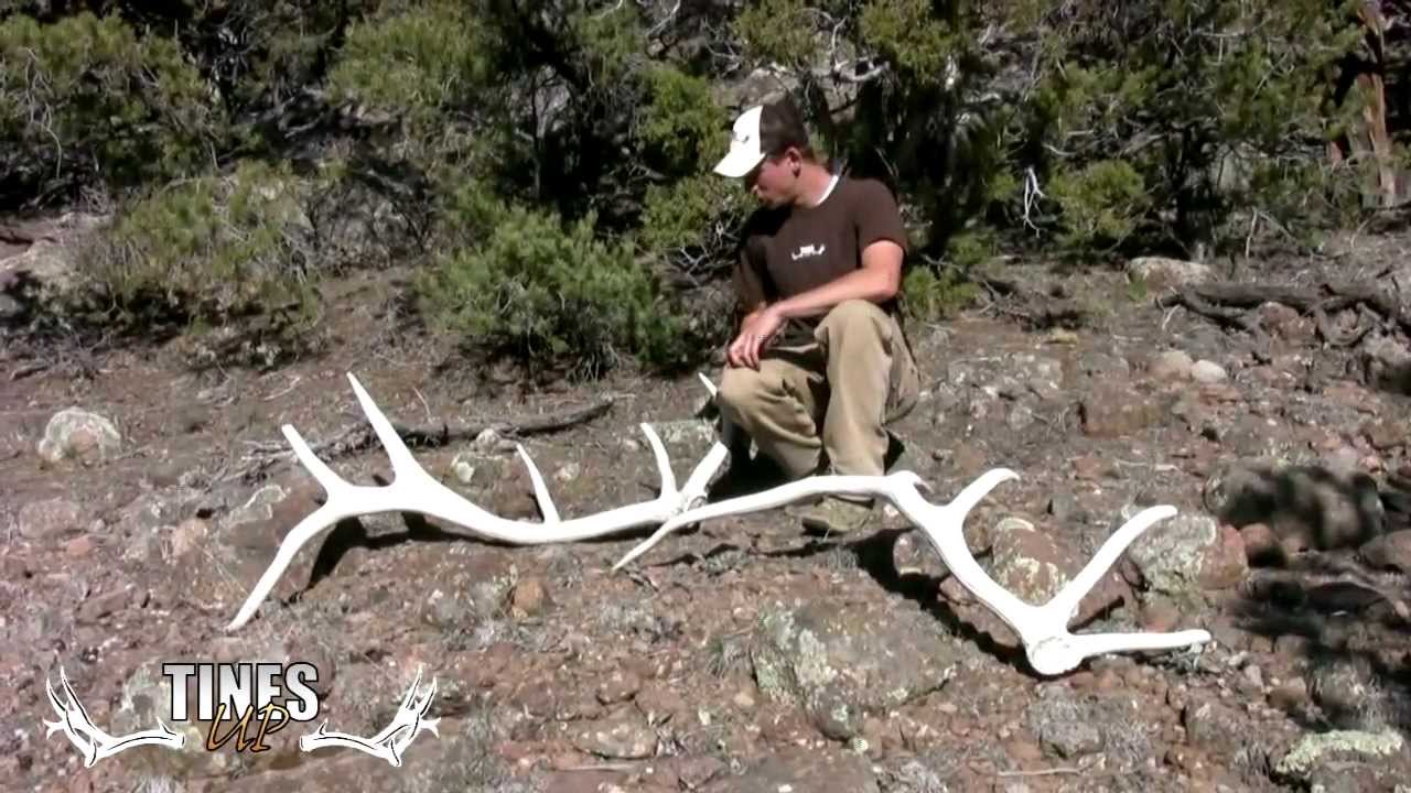 Tines Up Tuesday - Episode 4 - YouTube