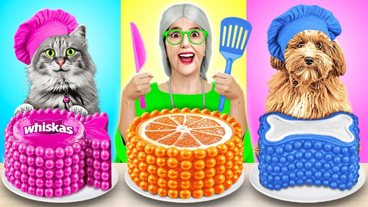 ALL ABOUT PETS! Funny Challenges and Easy Hacks to Care Your Best ...