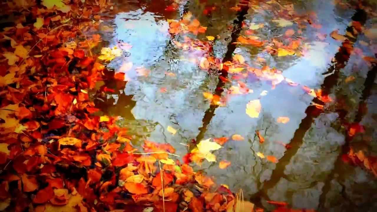 Movements In Autumn- Movement XVI - YouTube
