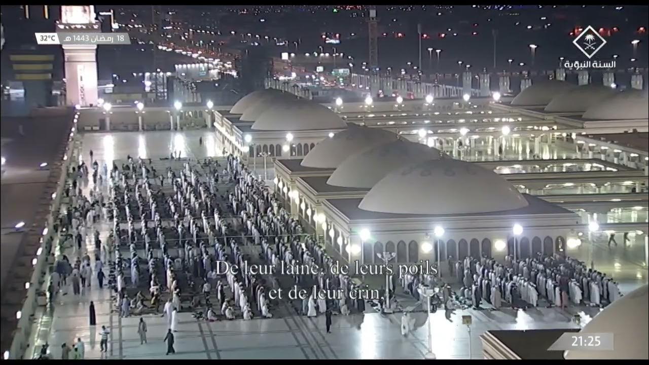 تلاوة صلاة التراويح من الليلة التاسعة عشر الثلاثاء ١٨ رمضان ١٤٤٣ هـ