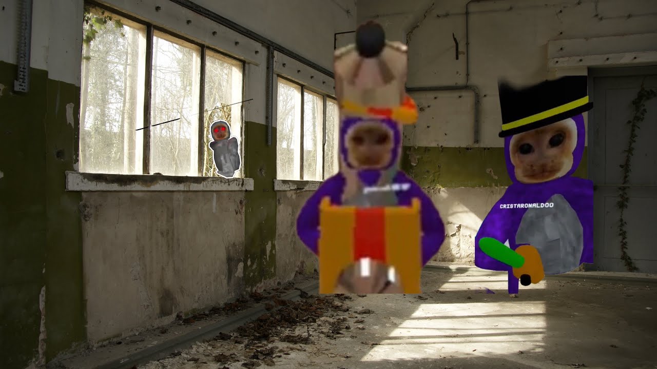 CAPUCHIN DAVE || part one || MOVIE - YouTube