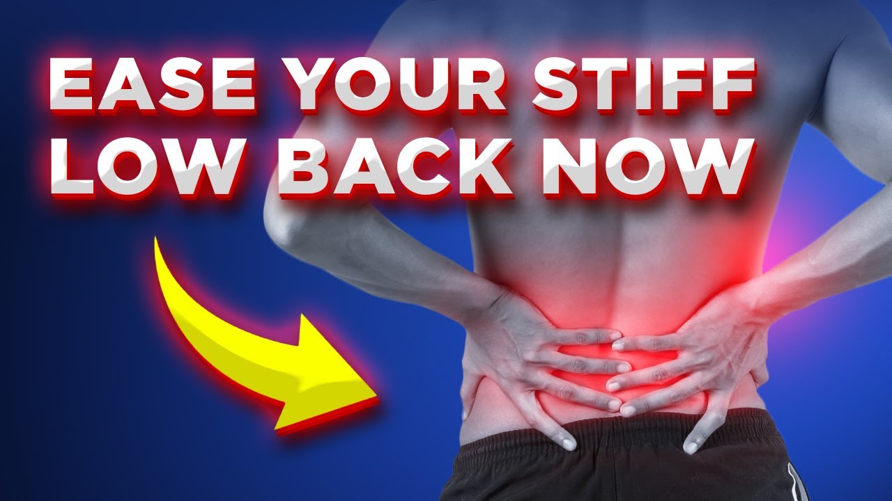 For Low Back Stiffness These 3 Tips & Easy Stretching exercises Will ...