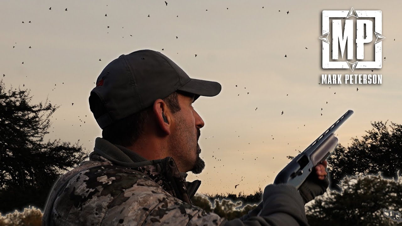 10,000,000 Doves on One Roost | Mark V. Peterson Hunting - YouTube