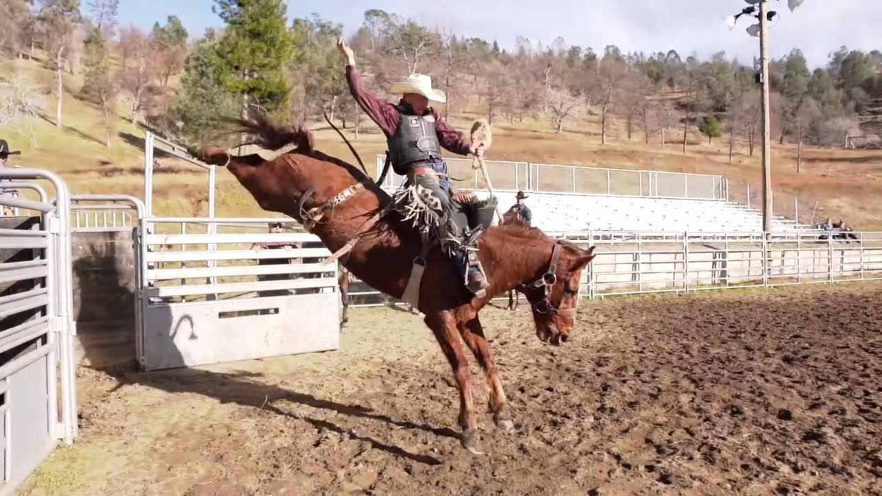 2020 Bronc Riding | Veater Ranch Ep 4 - YouTube