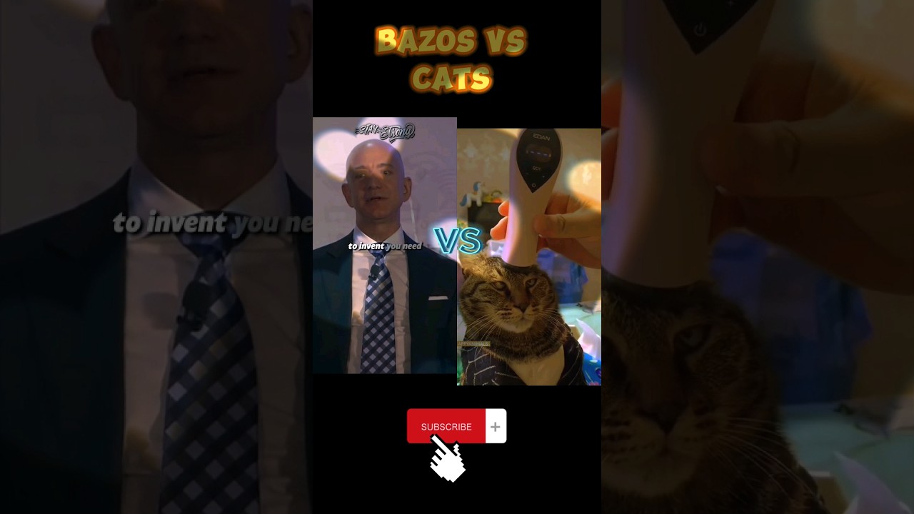 Jeff Bezos versus cute cats who will capture your attention - YouTube