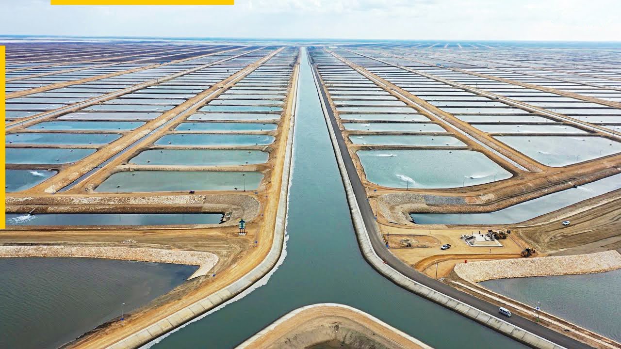 How this mega-project will make Egypt the continent's largest fish ...