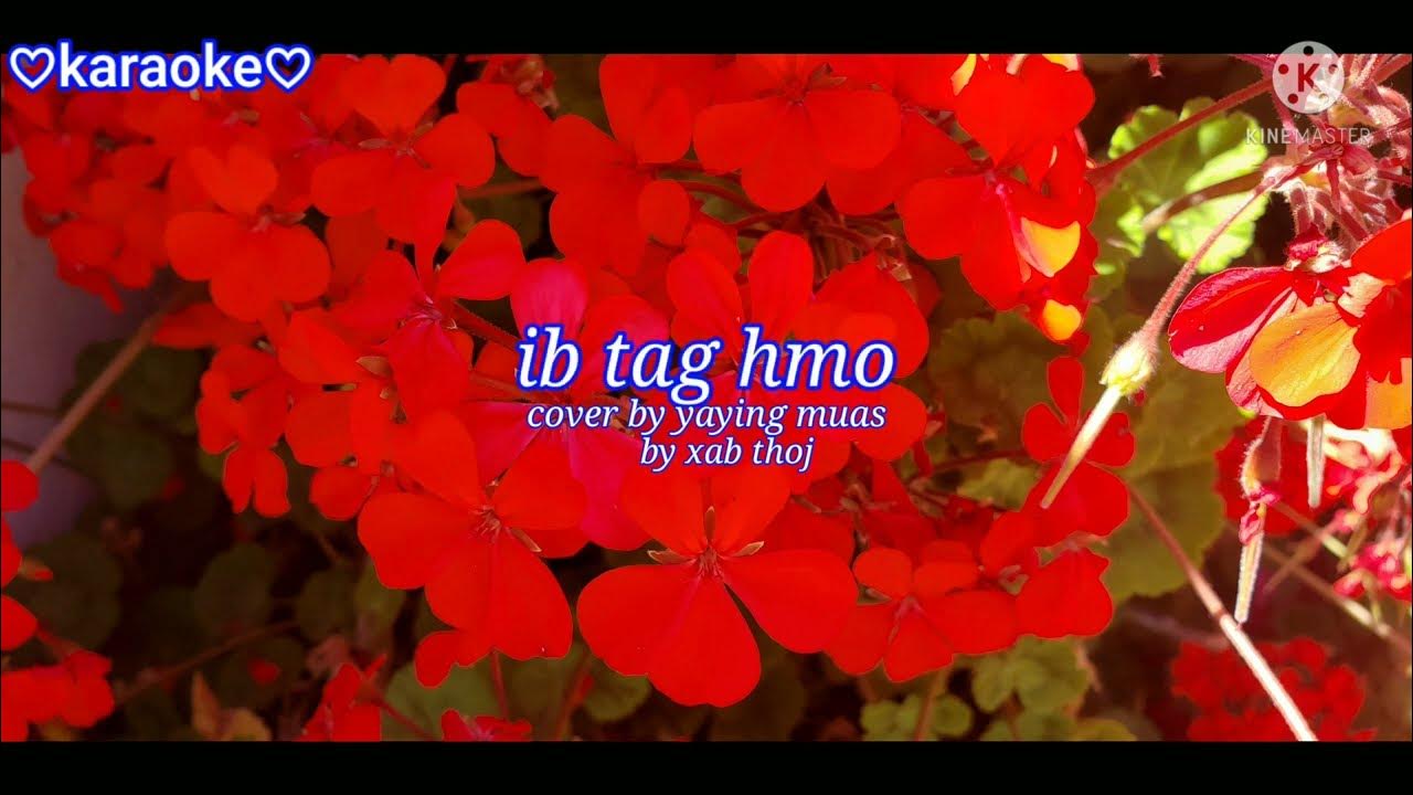 🎤Karaoke🎤Ib Tag Hmo=Yaying Yeng Muas(By Xab Thoj) - YouTube