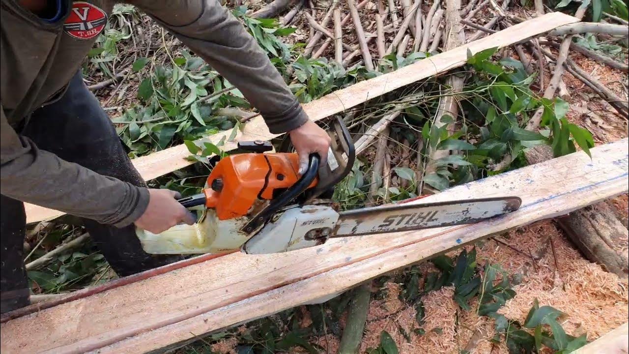 O profissional dando um show serrando motosserra ms 382 - YouTube