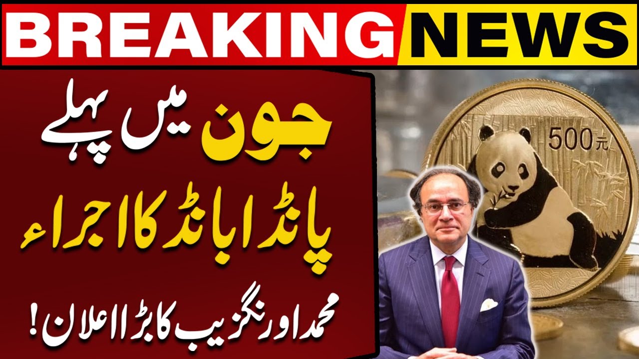 Pakistan to Issue Panda Bonds by June 2025, Says Finance Minister ...