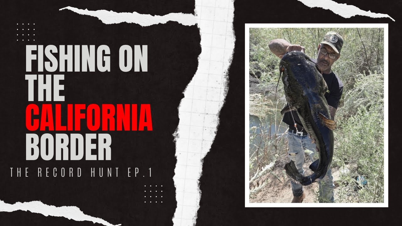 Fishing for Flathead Catfish on the CALIFORNIA BORDER! - YouTube