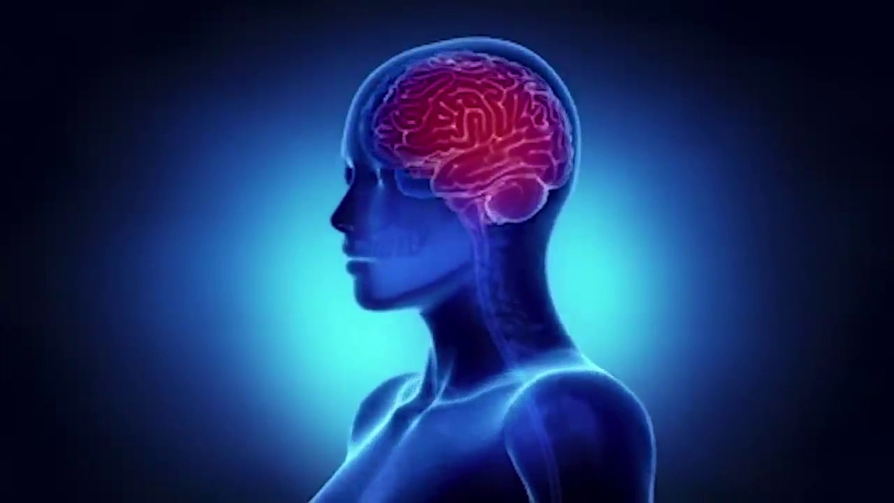 Human Mind Explained under 5mins! We are modern humans with a primitive ...