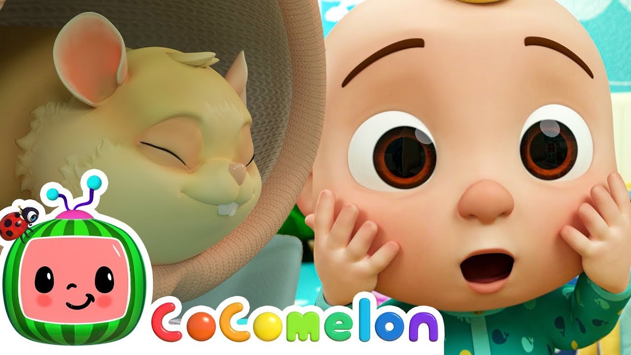 Nursery Rhymes | Class Pet Sleepover - Fun with Jellybean! | CoComelon ...