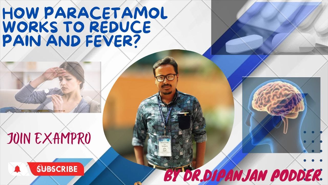 HOW DOES PARACETAMOL WORK II INTERESTING FACT II @EXAMPROTDJ ...