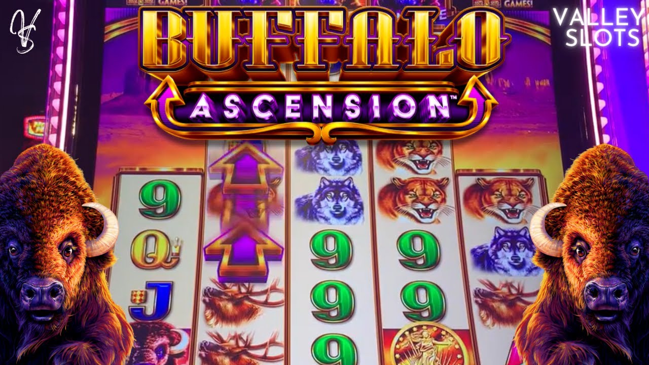 3 Stampedes and So Many Arrows on Buffalo Ascension Slot Machine - YouTube