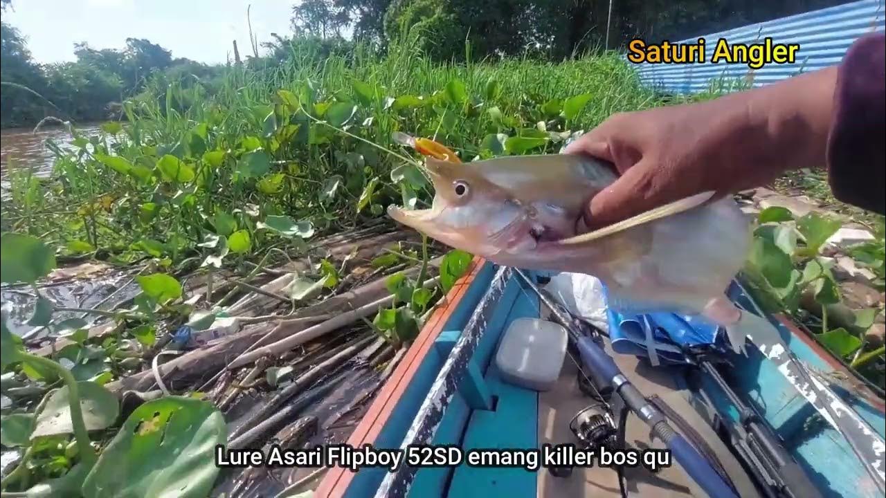 Gila Benar!!! Sambaran Bertubi-tubi Lais Tembiring Kelaparan Mancing Casting Di Sungai #SA-276 ...