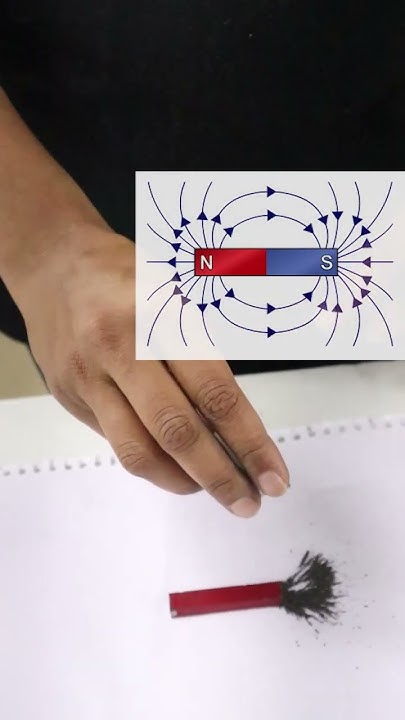 Experiment plotting magnetic field lines around bar magnet | Class 10 #shorts #reels #science # ...