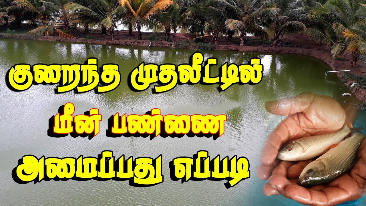 மீன் பண்ணை அமைப்பது எப்படி || Meen Val In Tamil || Meen Pannai || Fish ...