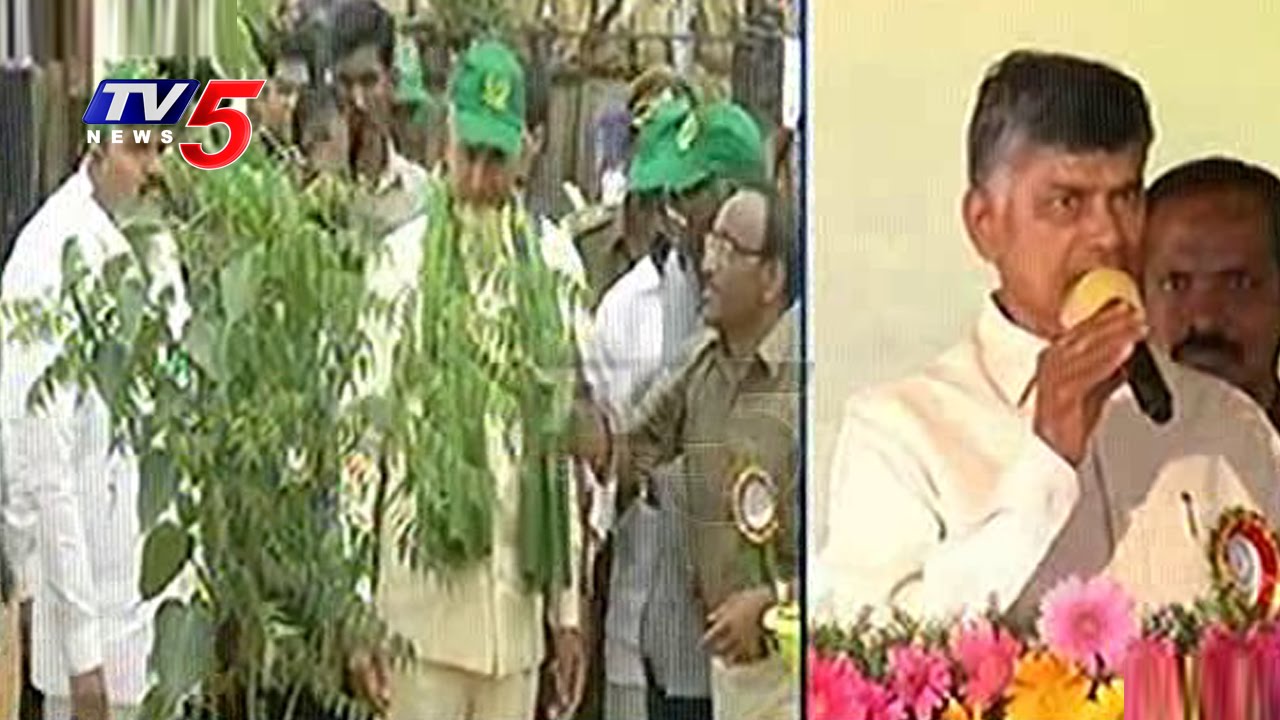AP CM Chandrababu Speech At Vanam – Manam Program | Krishna Dist | TV5 ...