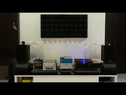 Esoteric p2s, audionote dac zero, Musical fedality a100 and jmlab micro ...