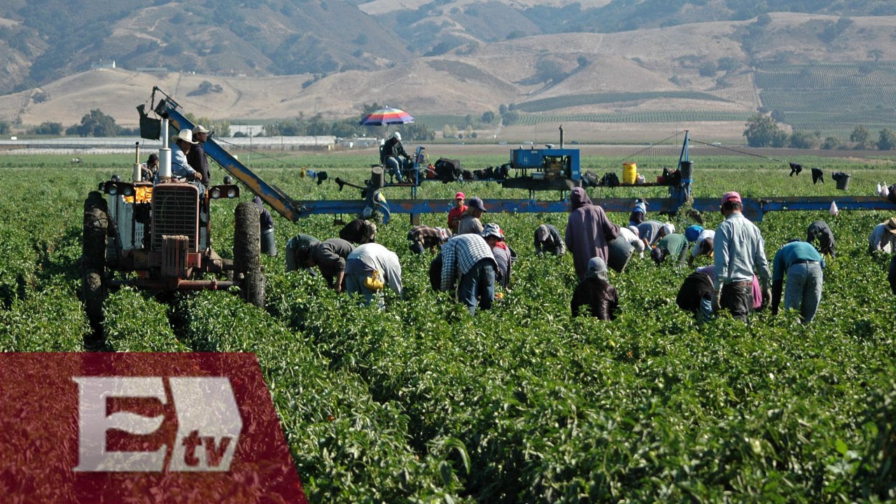 Desaparecen 11 jornaleros que viajaban a Sonora / Mario Carbonell - YouTube