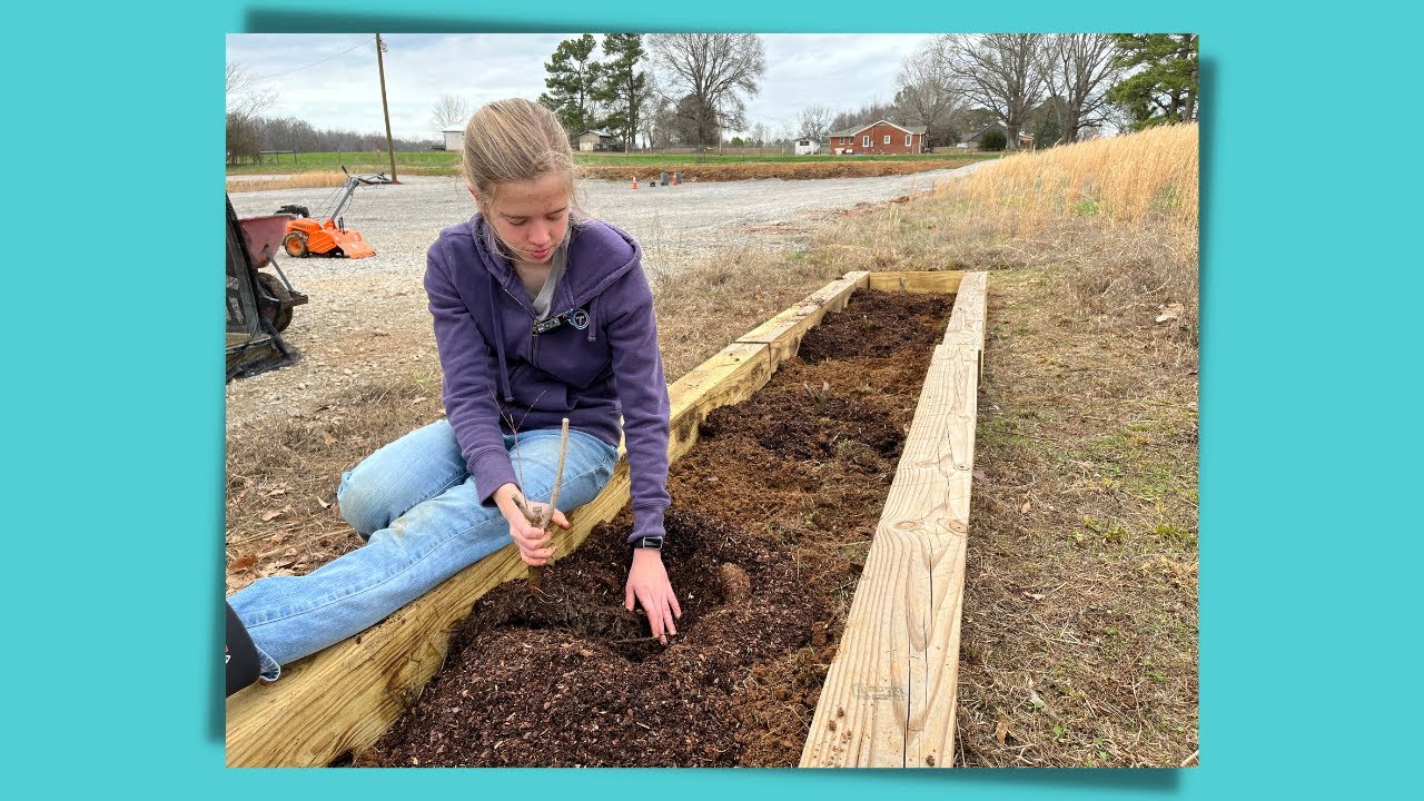 Planting THESE for a Future Payoff - YouTube