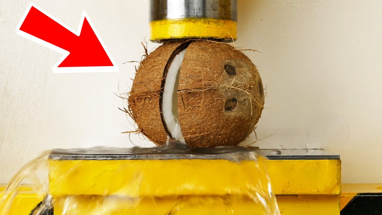 Coconut VS Hydraulic Press - " The Smasher Show " - YouTube