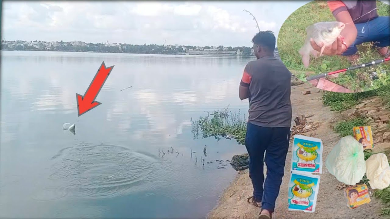 Super Rohu fish catching with special made aata bait. - YouTube