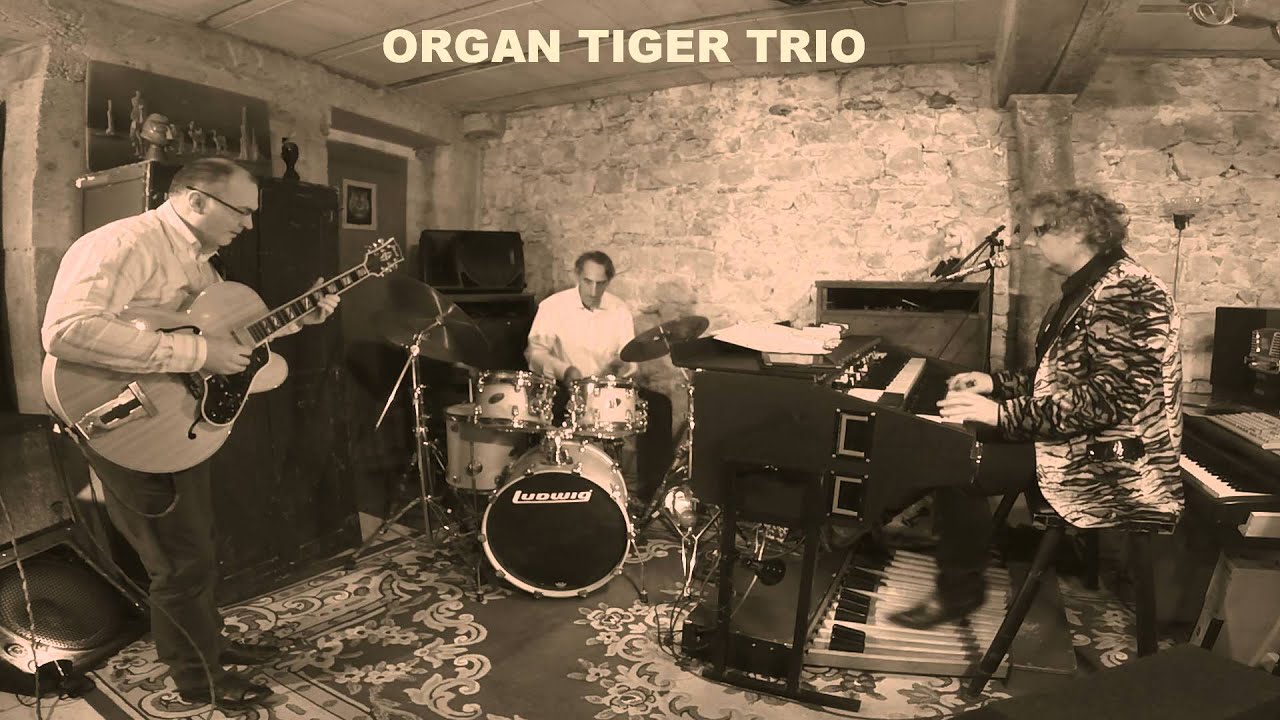 Organ Tiger Trio - YouTube