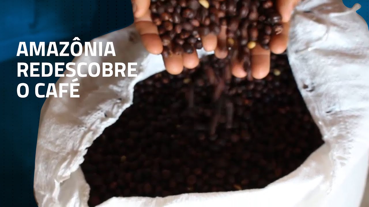 Amazônia redescobre o café - YouTube