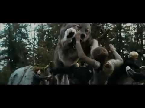 Superhero the twilight saga edit warning some flashes