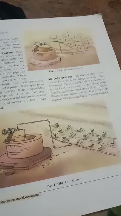 class 8th science chapter one textbook - YouTube