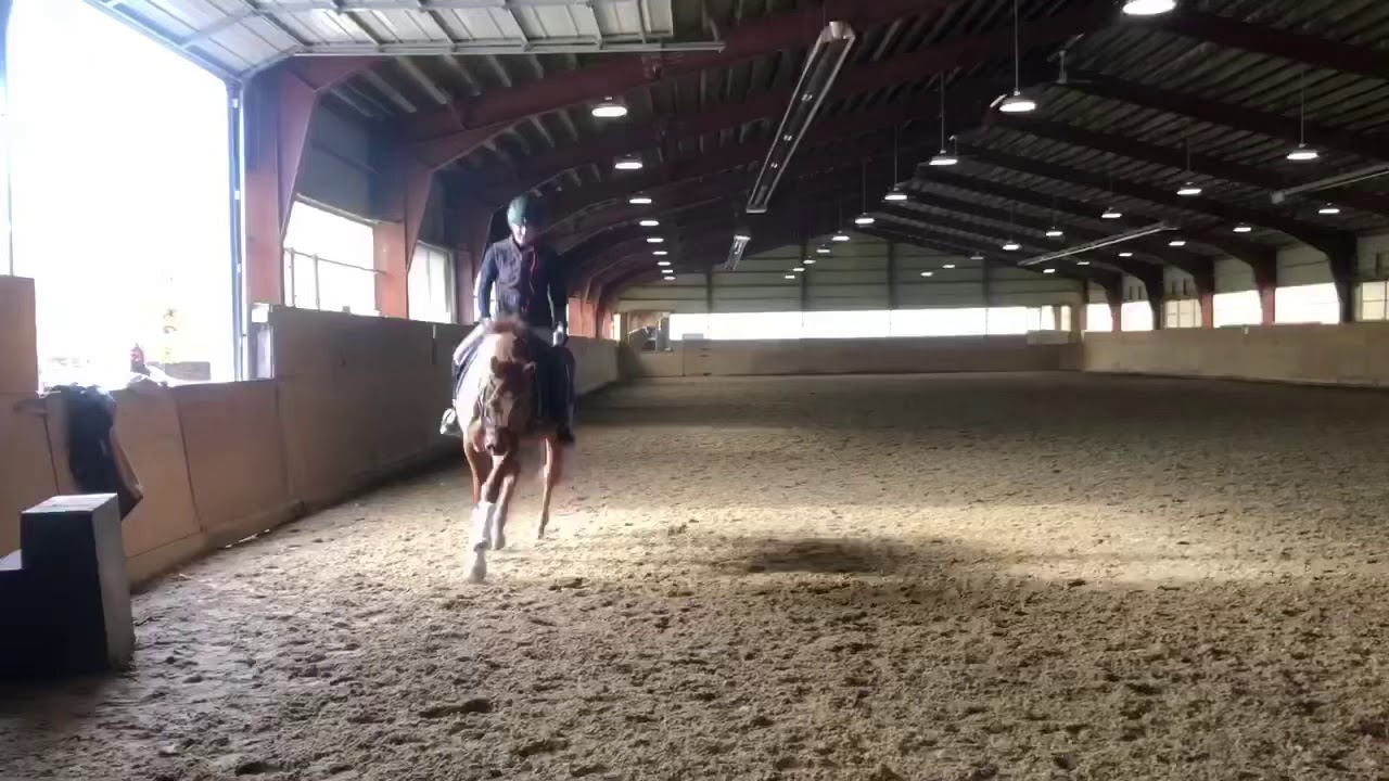 Molinaro Anna - YouTube