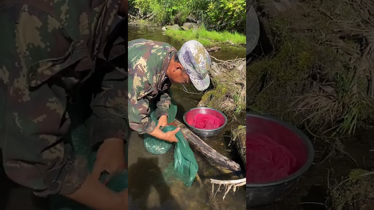 amazing fishing technique ️ - Fishing