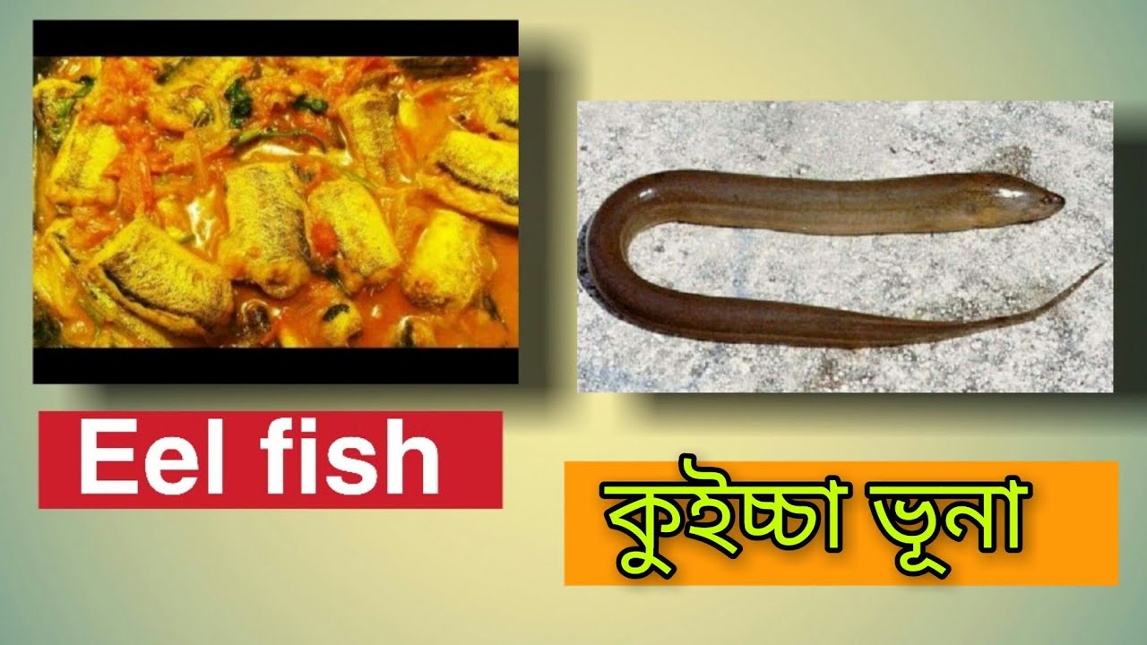 Eel fish Crocheted -- কুইচ্চা ভূনা । - YouTube