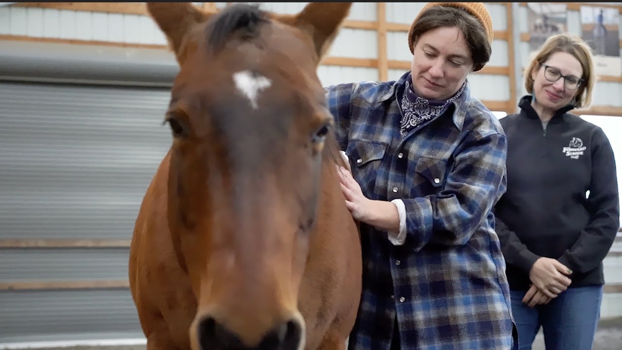 Equine Assisted Psychotherapy at Forward Stride - YouTube