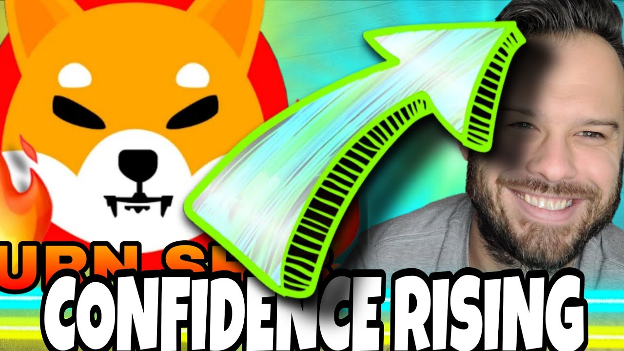 Shiba Inu Coin Confidence Is Rising! These SHIB Stats Point To Gains ...