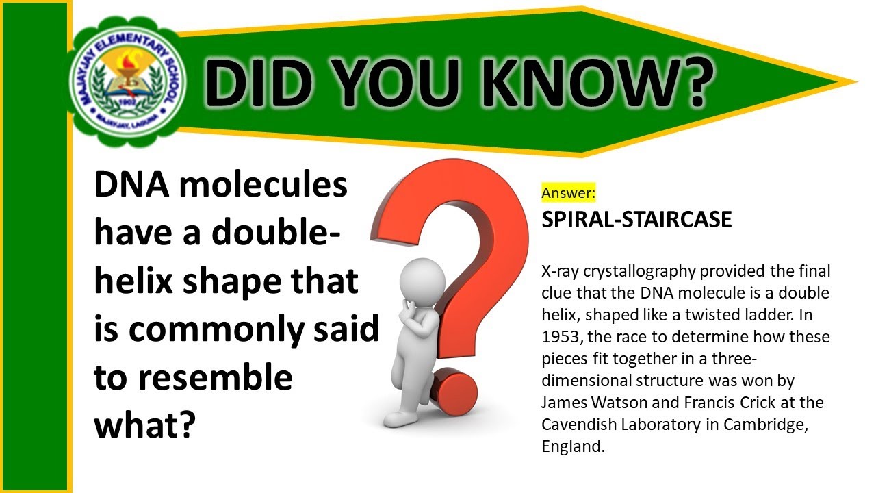 Science Facts And Trivia YouTube science-facts-and-trivia-youtube