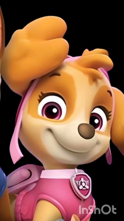 Paw Patrol Skye Youtube