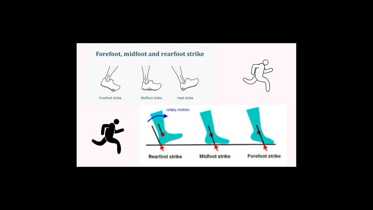kinematics of foot - YouTube