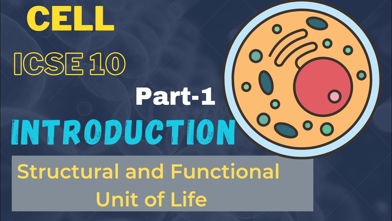 ICSE 10 Bio Cell Part 1 | ICSE 10 Biology Cell | The Structural and ...