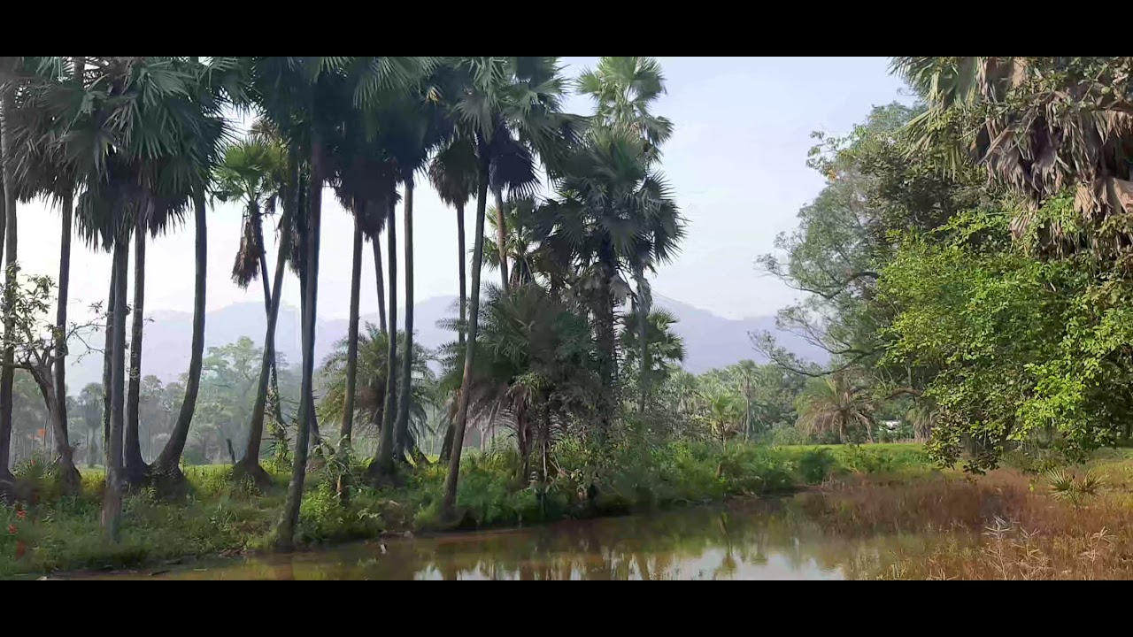 SPECIAL VISIT TO JABANPALLI , KALIMELA, MALKANGIRI, ODISHA.(2) - YouTube