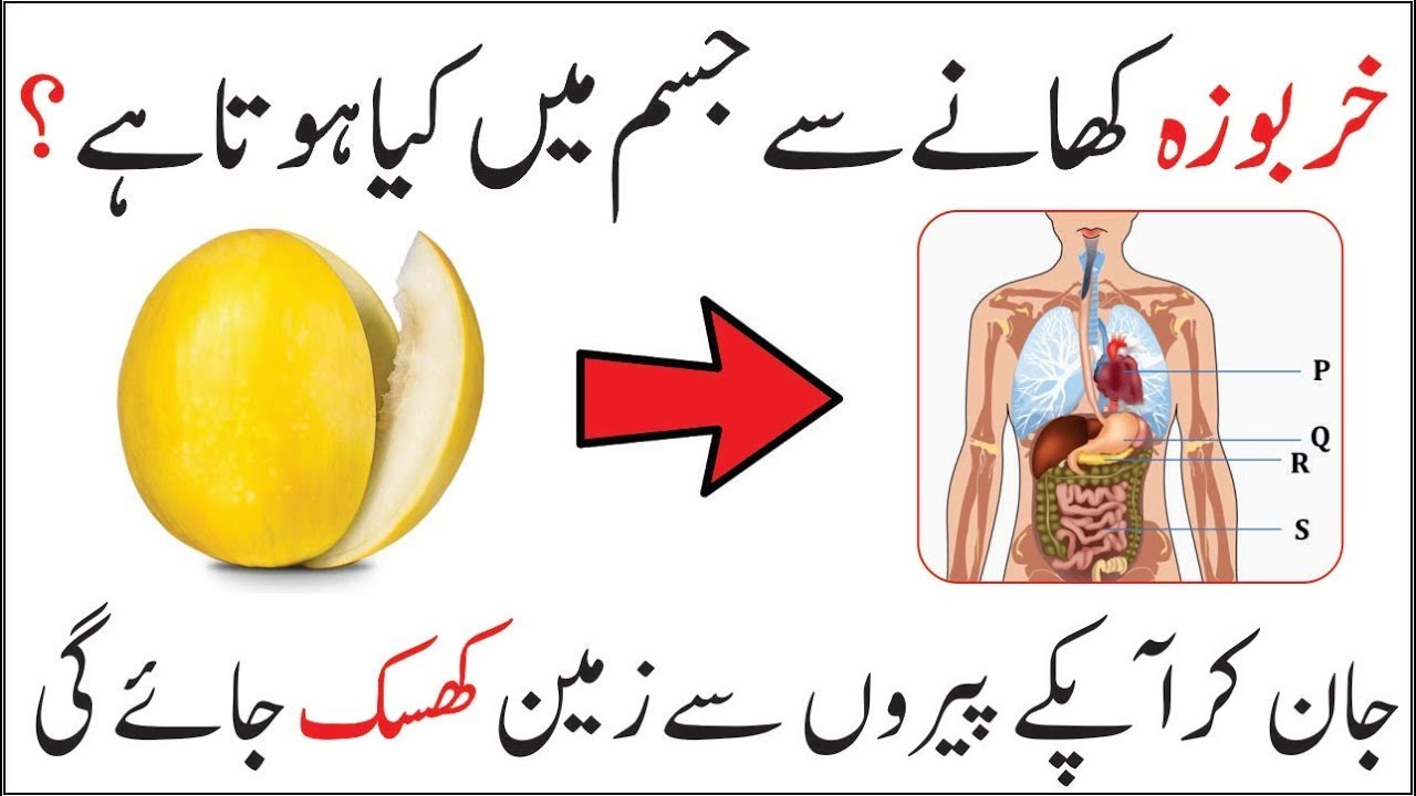 Melon fruit benefits for health and skin - Kharbooza ke fawaid - Rana ...