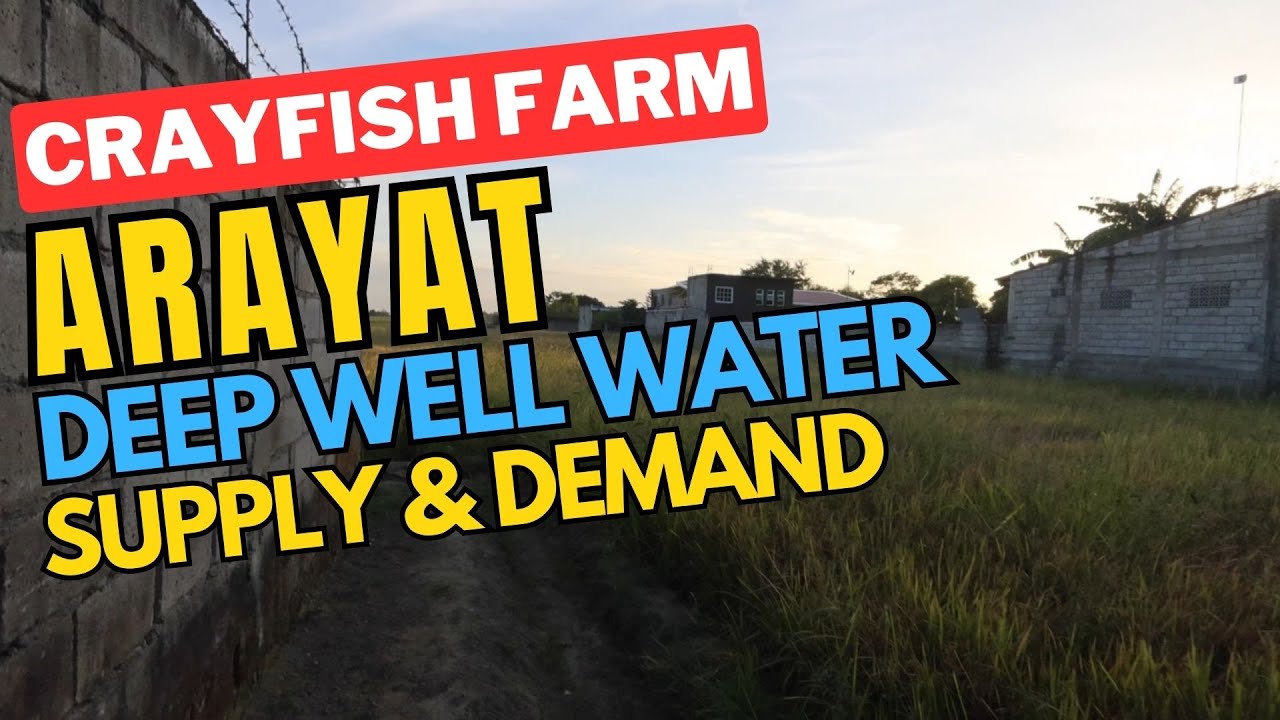 CRAYFISH BUSINESS PLAN - FARM SA ARAYAT (AUSTRALIAN REDCLAW CRAYFISH ...