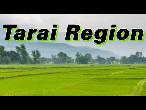 Tarai Region | Tarai Belt | Dooars |Terai in Geography | - YouTube