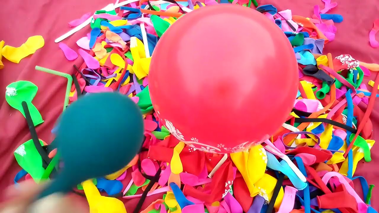 Lot's of red wine balloons with color full Outdoor balloons with ...